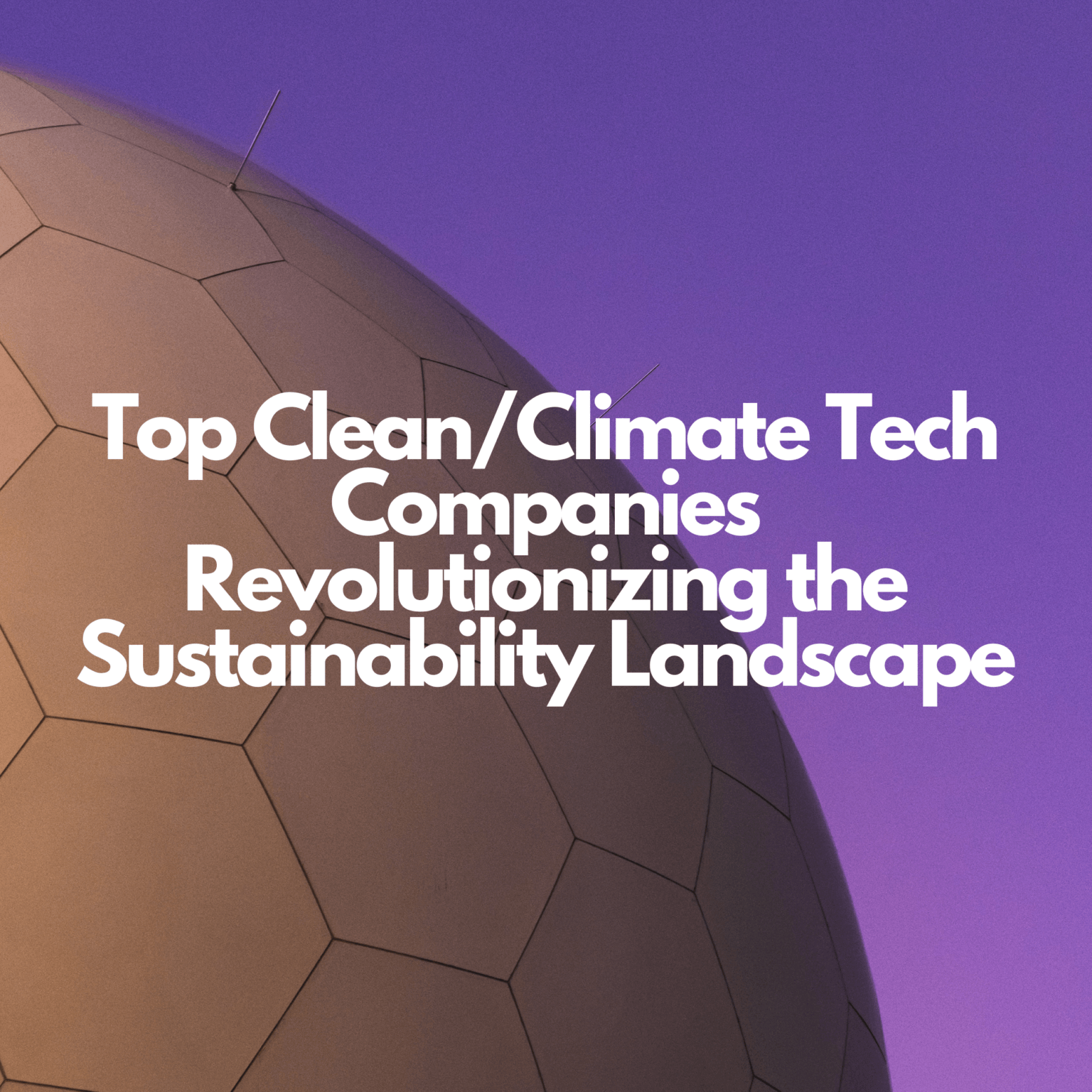 Top Clean/Climate Tech Companies Revolutionizing the Sustainability ...